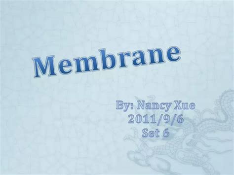 PPT Membrane PowerPoint Presentation Free Download ID