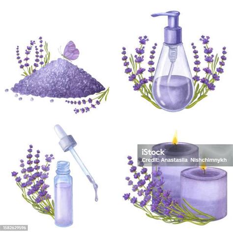 바이올렛 라벤더 꽃 에센셜 오일 화장품 병 비누를 설정하십시오 손으로 그린 수채화 그림은 흰색 배경에 분리되어 있다 스티커 로고 인쇄 엽서 초대장 개체 그룹에 대한 스톡