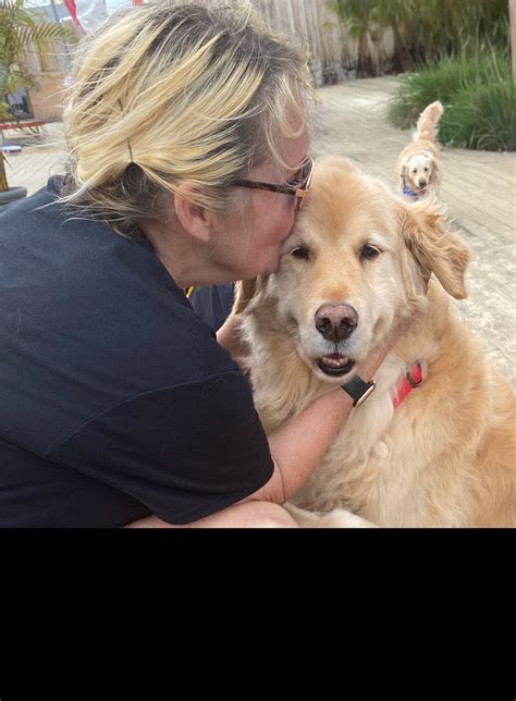 Grri Nj Volunteer Opportunities Help Support And Care For Golden