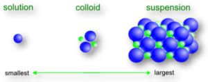 Colloidal Solution Archives The Fact Factor