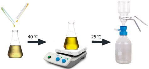 Ijms Free Full Text Synthesis And Biological Evaluation Of Thiazole