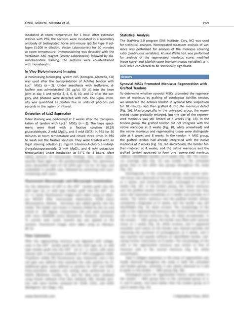 Solution Synovial Mesenchymal Stem Cells Promote Meniscus Regeneration Augmented By An