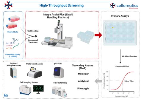 High Throughput Screening Services Cellomatics Biosciences