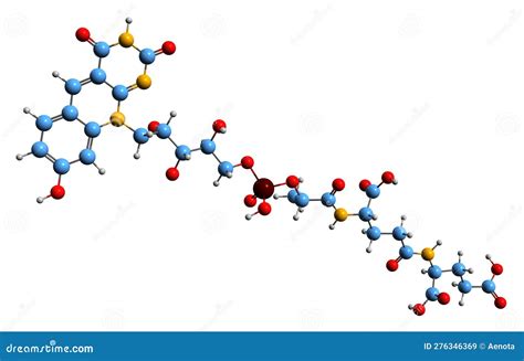 3D Image Of Coenzyme M Skeletal Formula Royalty Free Stock Photo