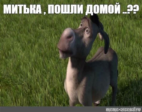 Мем МИТЬКА ПОШЛИ ДОМОЙ Все шаблоны Meme