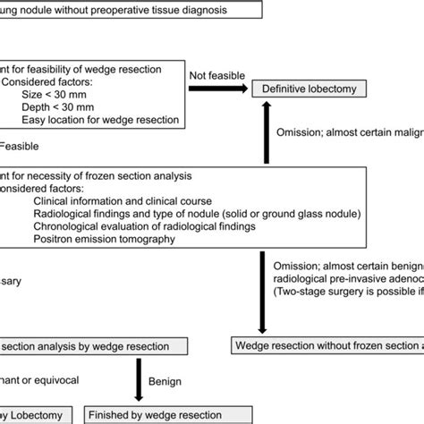 Surgical Treatment Algorithm For Lung Nodules Without Preoperative