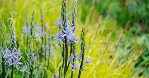 Ако сте Рак Скорпион и Риби петък носи важни събития За Жената
