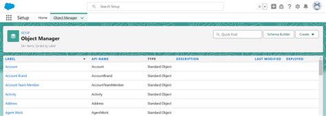 Salesforce Objects And Fields Overview By Saleem Medium