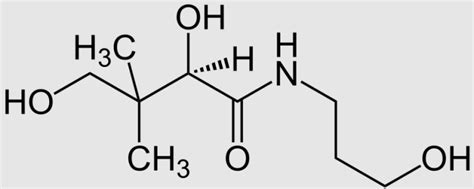 코막힘약 슈다페드 마플러스 【 슈도에페드린염산염 덱스판테놀 슈다페드정 나잘스프레이 코스프레이】 네이버 블로그