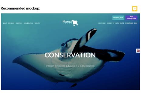 Injecting Custom Code To Create Coloured Donate Button On Our Website