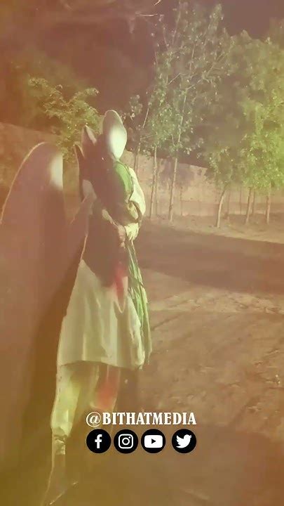 اجتماعی تلاوت قرآن خیمہ امام حسینؑ کے سامنے Youtube