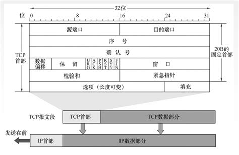 Tcp协议 冬日寻雾记 博客园