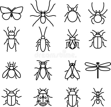 Insect Collection Illustrationset Of Simple Insect Line Icons Outline Stroke Object Stock
