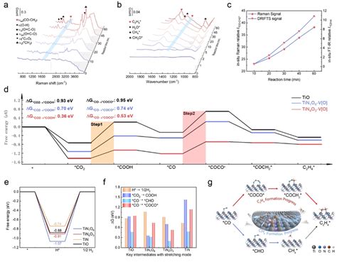 Photochemical In Situ Surface Vibration Spectroscopy A Raman