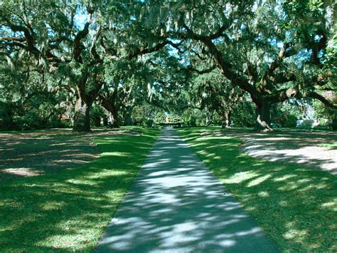 Brookgreen Gardens A Photo On Flickriver