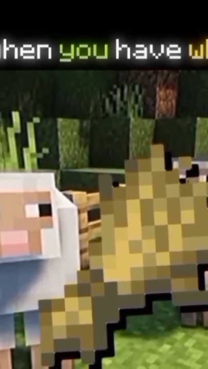 Minecraft Minecraft Minecraftshorts Shorts Youtube