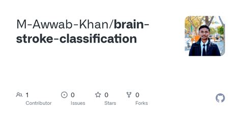 Github M Awwab Khanbrain Stroke Classification