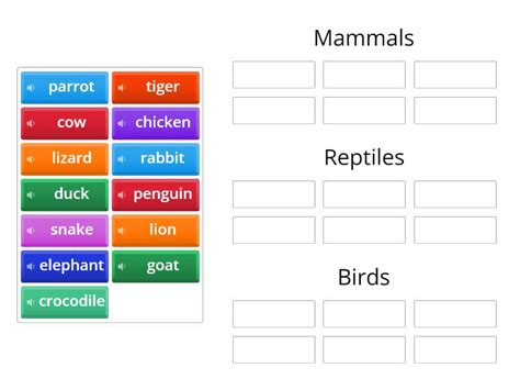 Lesson 2 Animals Types Classification Group Sort