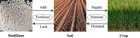 Diagram Of The Fertilizer Soil Crop Relationship Download Scientific Diagram