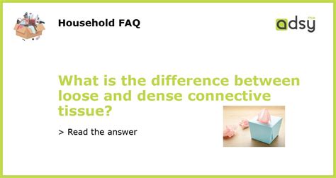 What Is The Difference Between Loose And Dense Connective Tissue