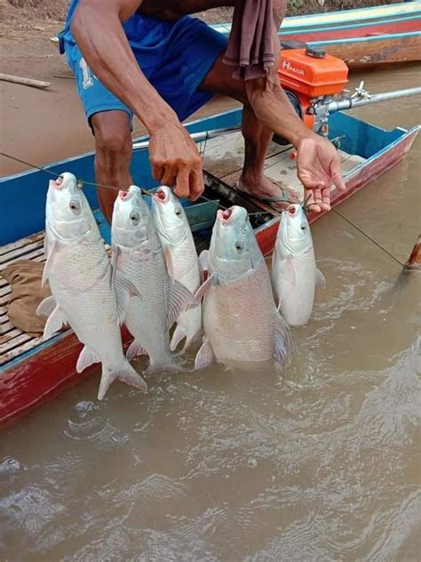 ໜ່ວຍກູ້ໄພ ນະຄອນຫຼວງວຽງຈັນ ໜ່ວຍກູ້ໄພ ນະຄອນຫຼວງວຽງຈັນ 1624