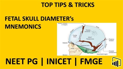 Fetal Skull Diameters Mnemonics Inicet Neetpg Fmge Youtube