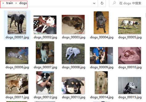Tensorflow项目练手（二）——猫狗熊猫的分类任务predicted 猫 10 熊猫 7419109923326754e 37 Csdn博客