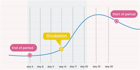 How Many Days Post Ovulation Dpo Can You Test Positive