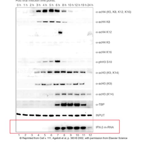 Molecular Biology Questions Flashcards Quizlet