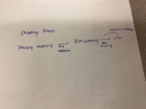 Ap Psychology Unit Flashcards Quizlet