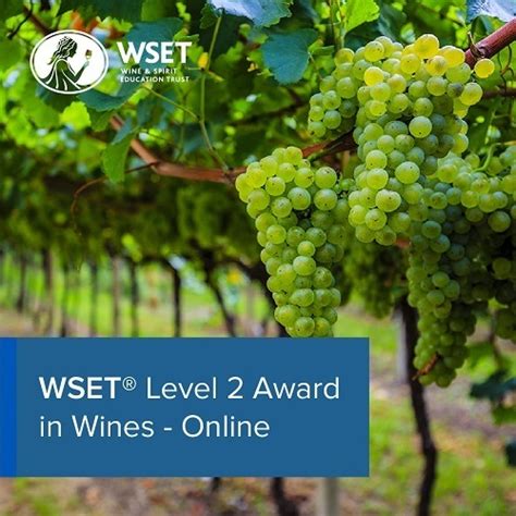 Online Wset Level 2 Award In Wines Evenings Sussex Local Wine