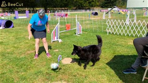 Zanee Camp Highlights Youtube