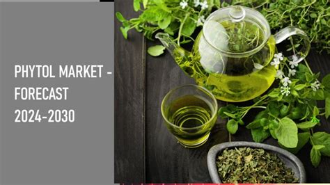 Phytol Naturalingredients Plantbasedwellness Ecofriendlybeauty