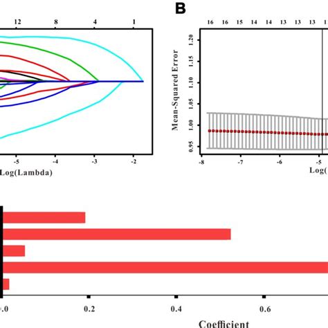 Selection Of Informative Factors Associated With Os Using The Lasso Cox