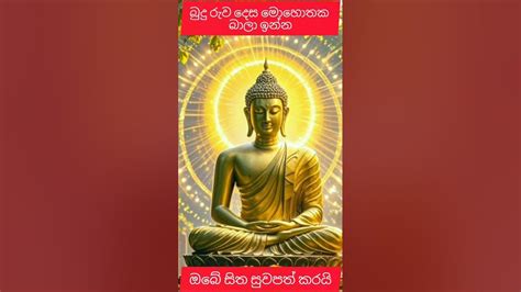 තප්පරයක් බුදු රුව දෙස බලා සිටින්න එවිට ඔබේ සිත සුවපත් වෙයි Youtube