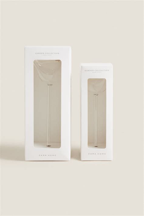 Zara Borosilicate Glass Self Watering Bubble Mall Of America®