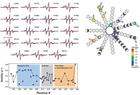 Comparison Of Lipid Free And Lipid Bound Apoa I Structure A Epr