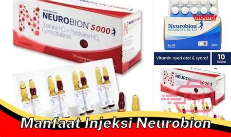 Temukan Manfaat Injeksi Neurobion Yang Jarang Diketahui Anda Biotifor