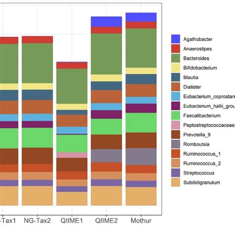 Bacterial Genera Profile Top 10 Most Abundant Bacterial Genera Per Download Scientific Diagram