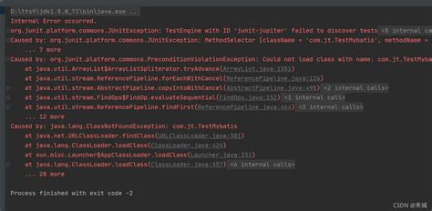 解决数据库映射错误与端口占用问题：java Pojo属性调整与服务器端配置 Csdn博客