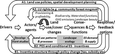 The Primary Feedback Loop Is Described By The Inner Cycle Between The