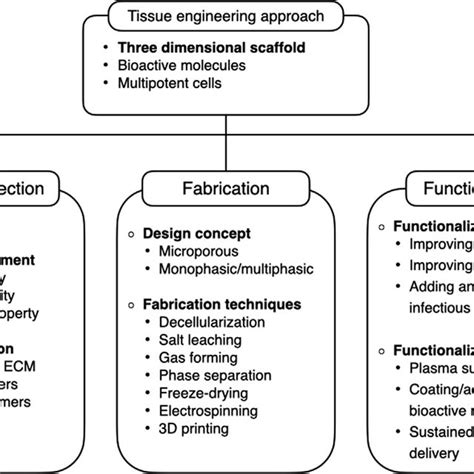Summary Of Scaffold Designing And Fabrication Concept Tissue