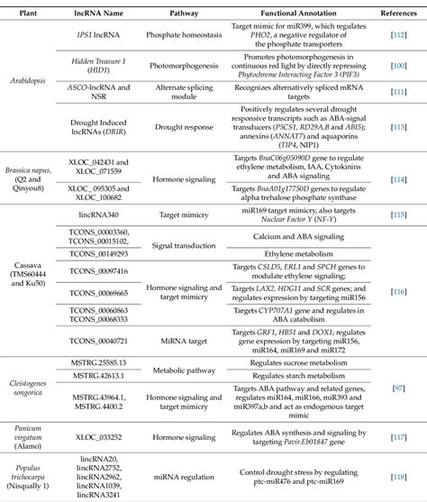 Figure 1 From Non Coding Rnas In Response To Drought Stress Semantic