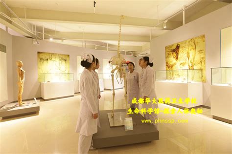 生命科学解剖实验实训楼 实验实训 成都华大医药卫生学校官网 成都华大医药卫生学校招生 华大医药唯一官网 成都高护招生 成都卫校 成都