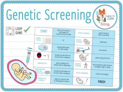 Genetic Screening Loop Game Ks5 Teaching Resources