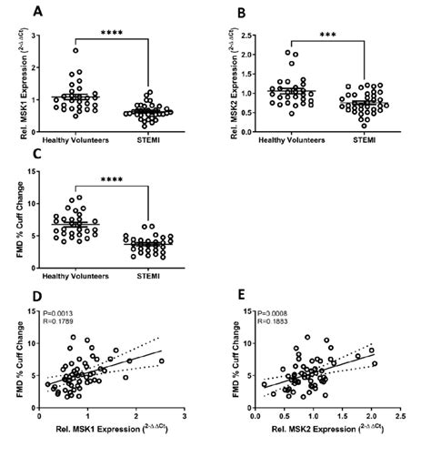 Msk12 Expression And Endothelial Function Are Attenuated Following Download Scientific Diagram