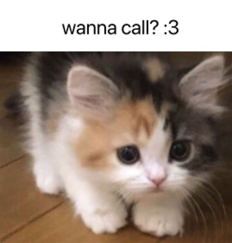 Snore Mimimimimimi By Busdeesserflutter44356 Sound Effect Tuna