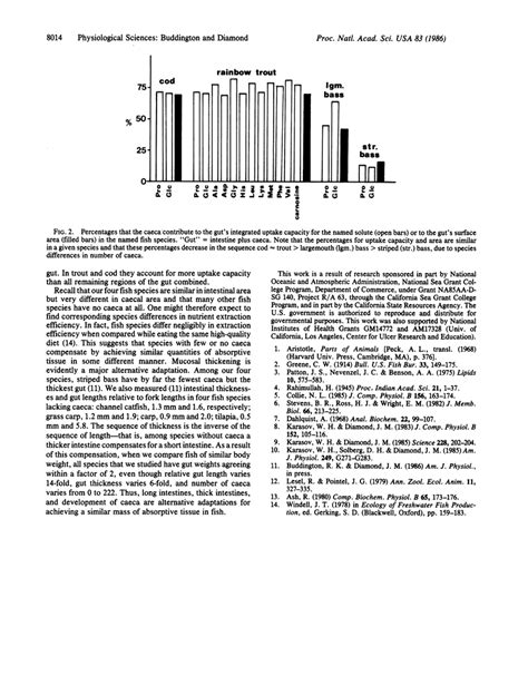 Aristotle Revisited The Function Of Pyloric Caeca In Fish Pmc