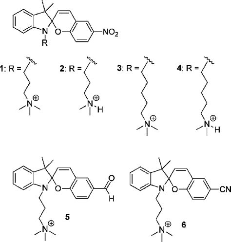 Structures Of The Closed Spiro Sp Forms Of The Spiropyran Derivatives Download Scientific