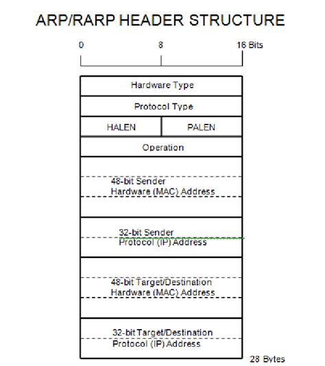ARP Header Structure Download Scientific Diagram